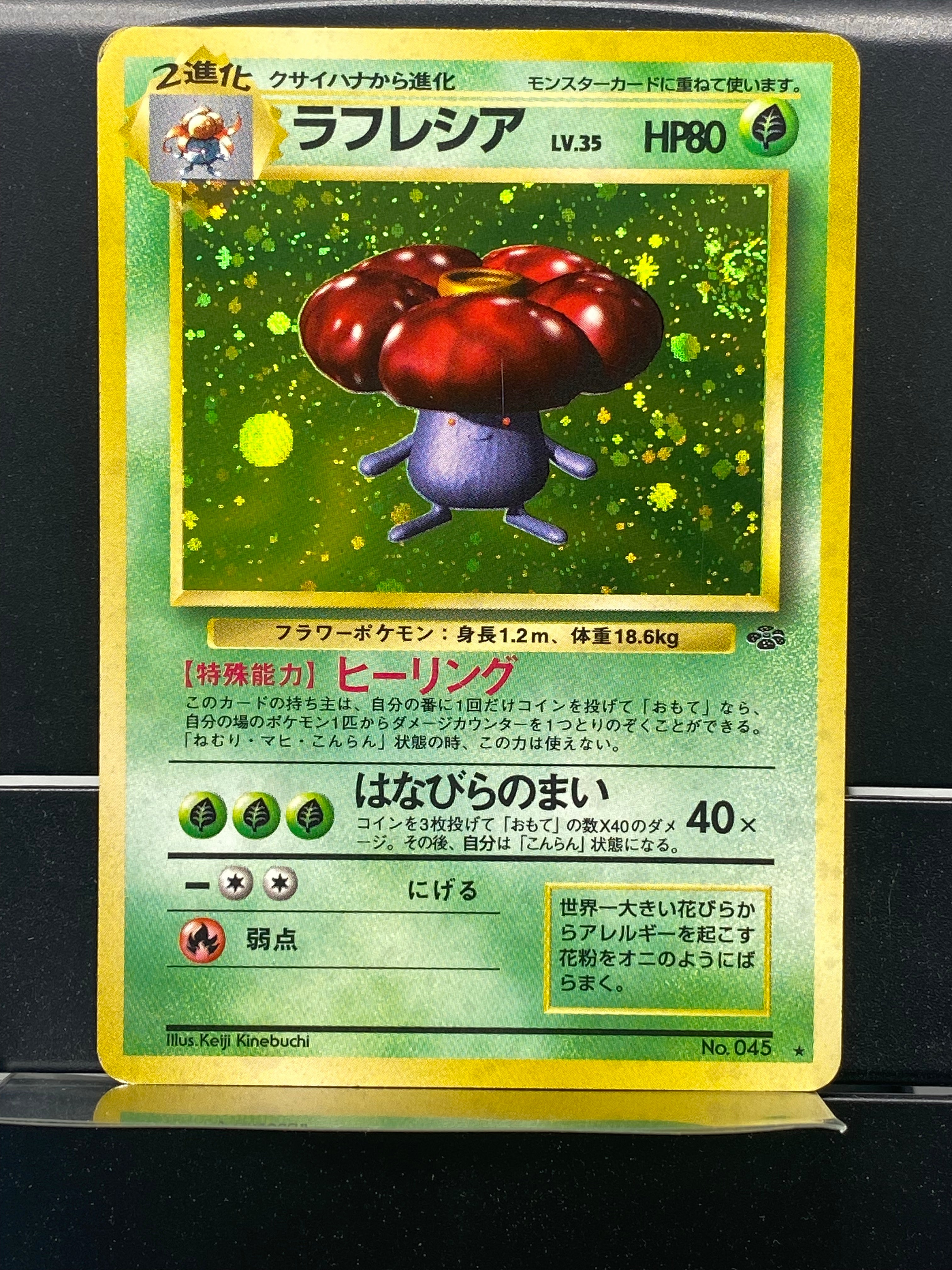 Vileplume Holo n°045 Old Back - Jungle - Pokemon TCG Japanese