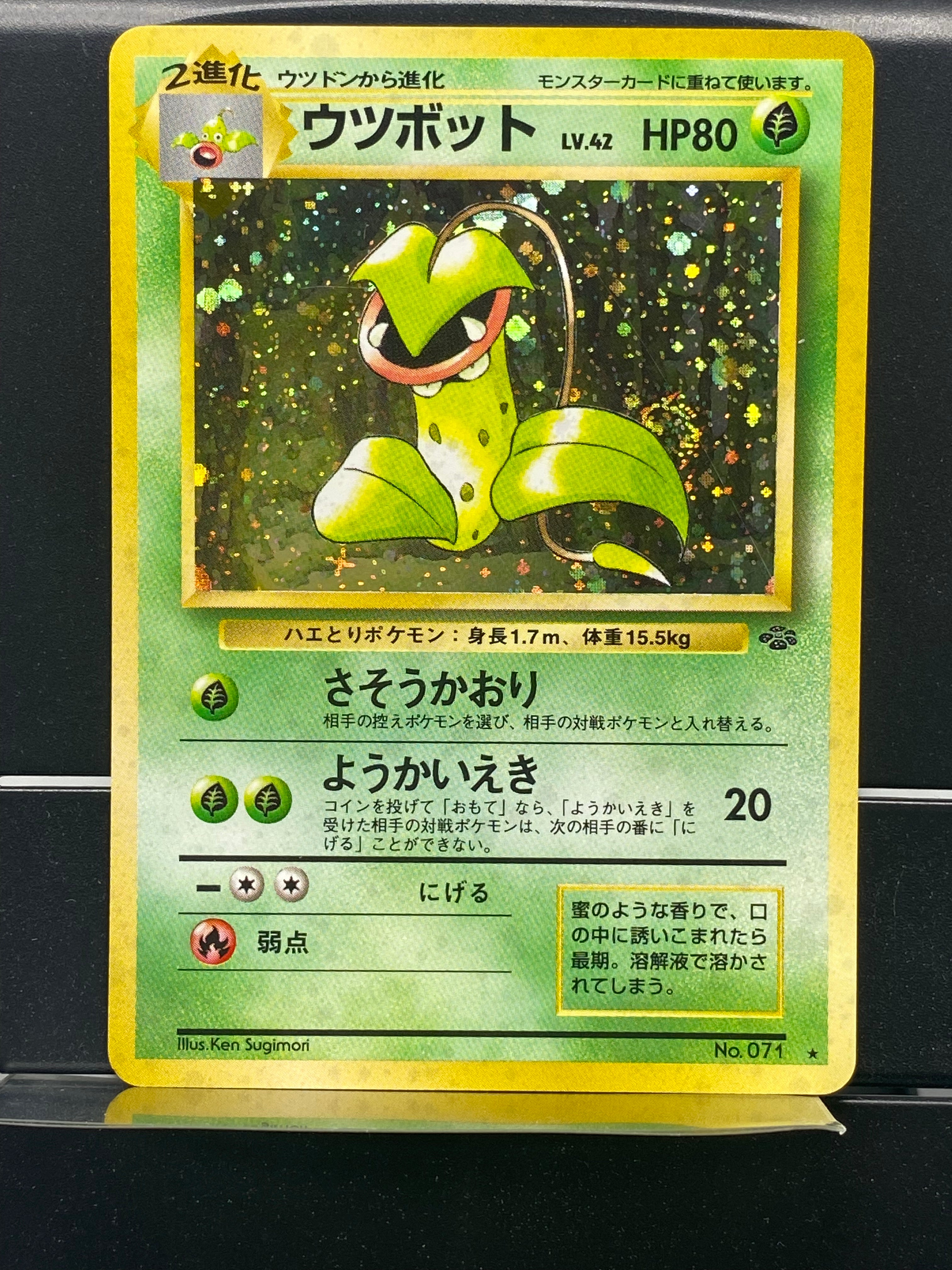 Victreebel Holo n°071 Old Back - Jungle - Pokemon TCG Japanese